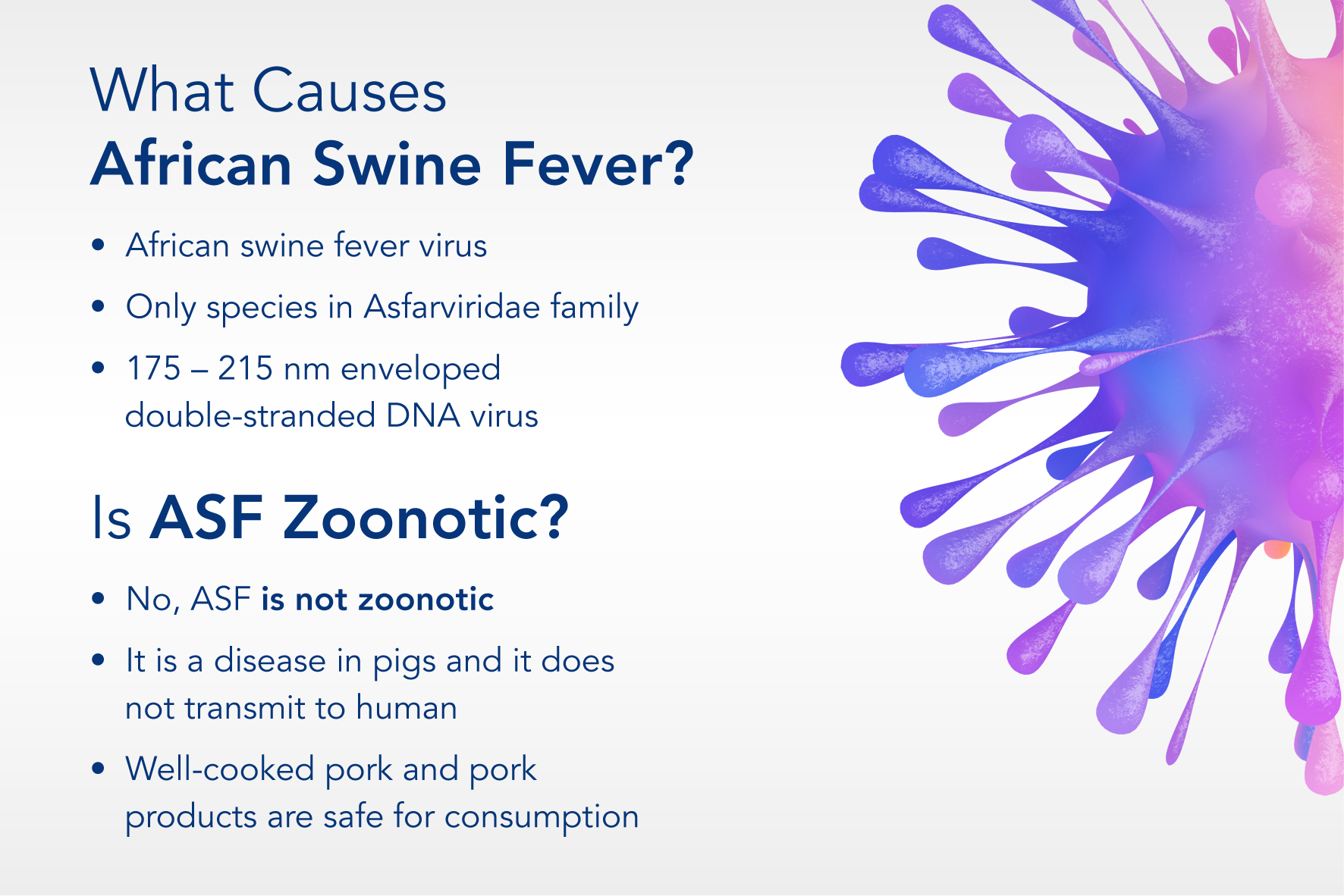 Intra Hygiene Program – A Shield Against the African Swine Fever - Behn ...