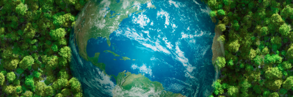 Sustainable Solutions for the Environment - Behn Meyer