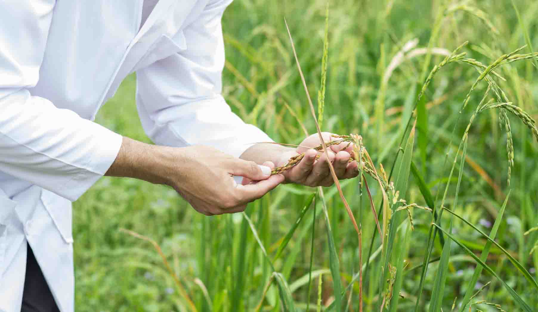 Agriculture and Fertilizer R&D - Behn Meyer