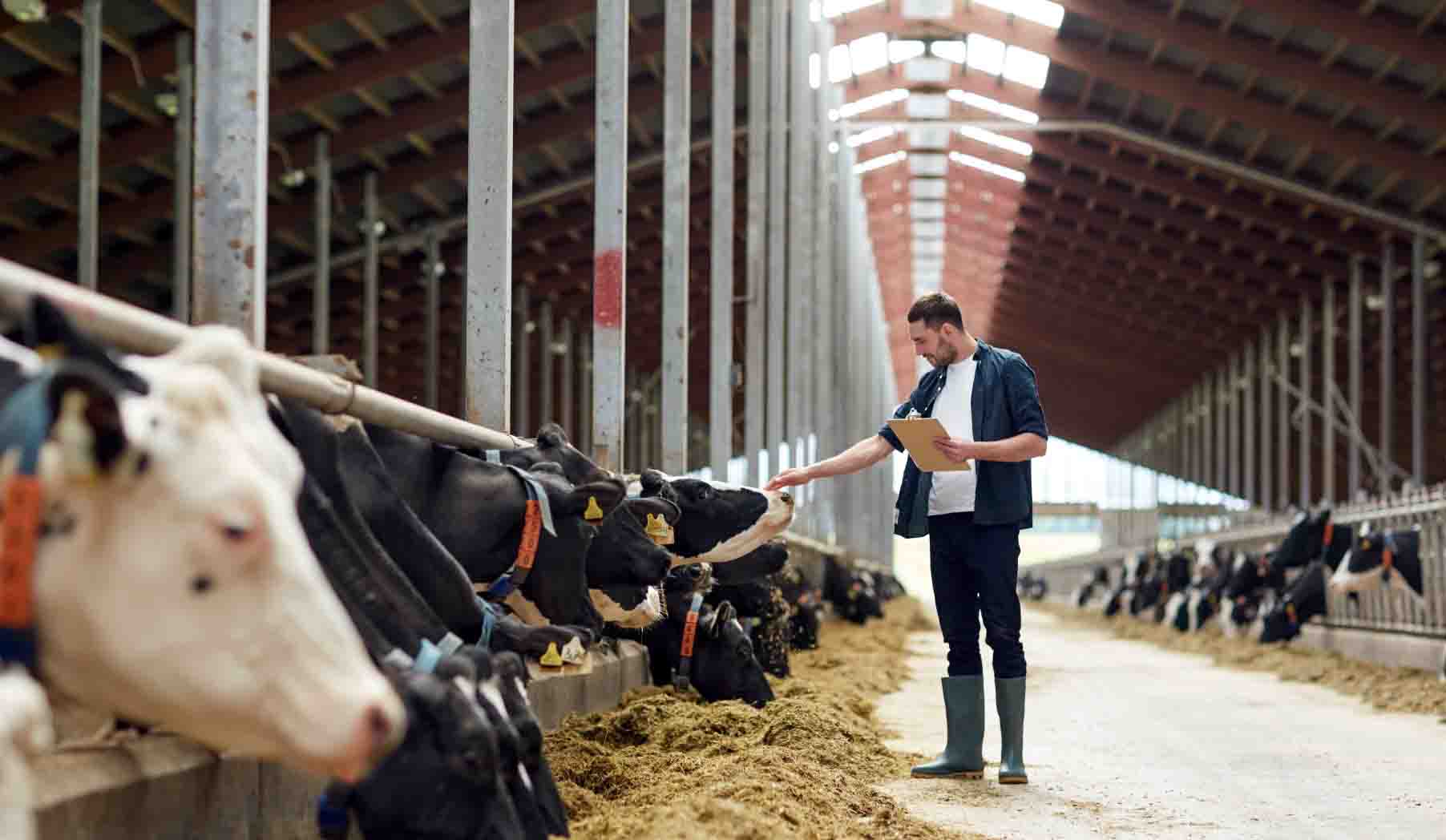 Sustainable Livestock Animal Nutrition - Behn Meyer